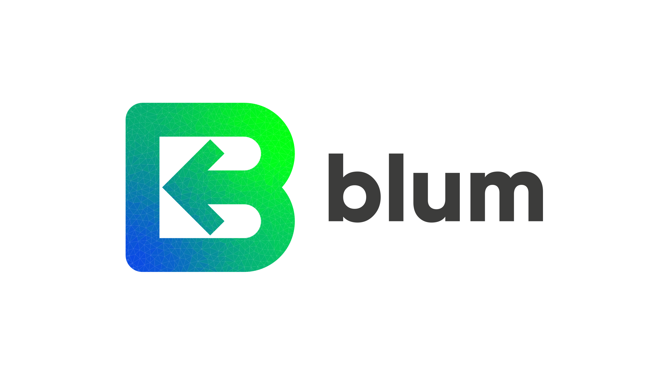 blum-logo.png – Explorer Latam VC